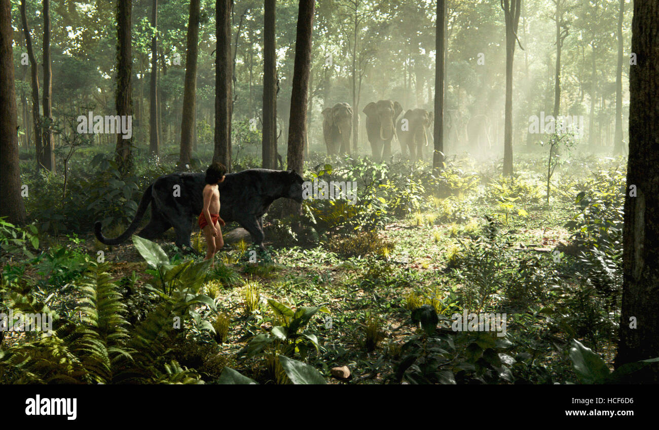 THE JUNGLE BOOK, from left: Neel Sethi, Bagheera (voice: Ben Kingsley ...