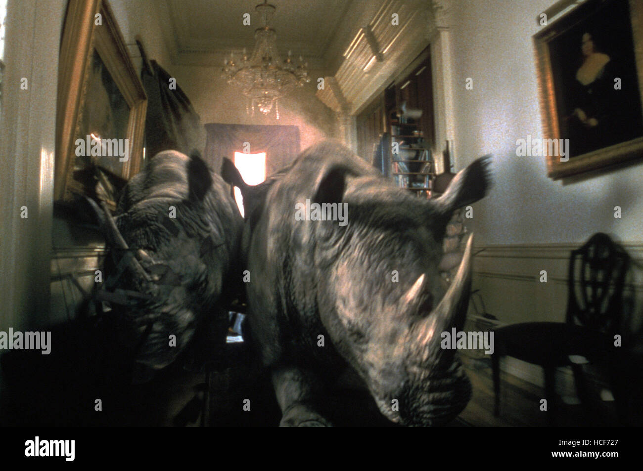 Jumanji and 1995 hi-res stock photography and images - Alamy