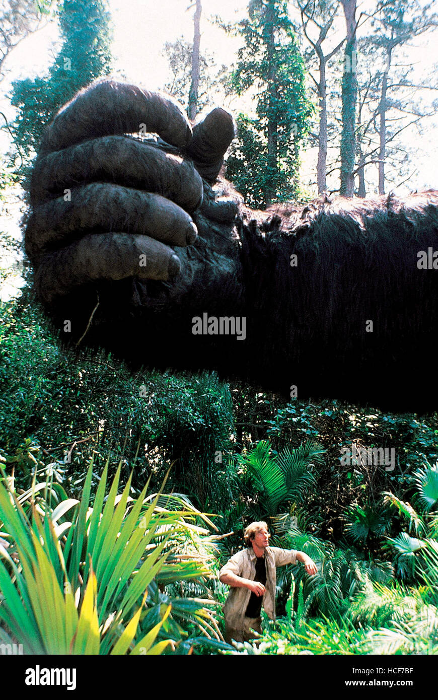 KING KONG LIVES, from top: Lady Kong, Brian Kerwin, 1986. ©DeLaurentiis ...