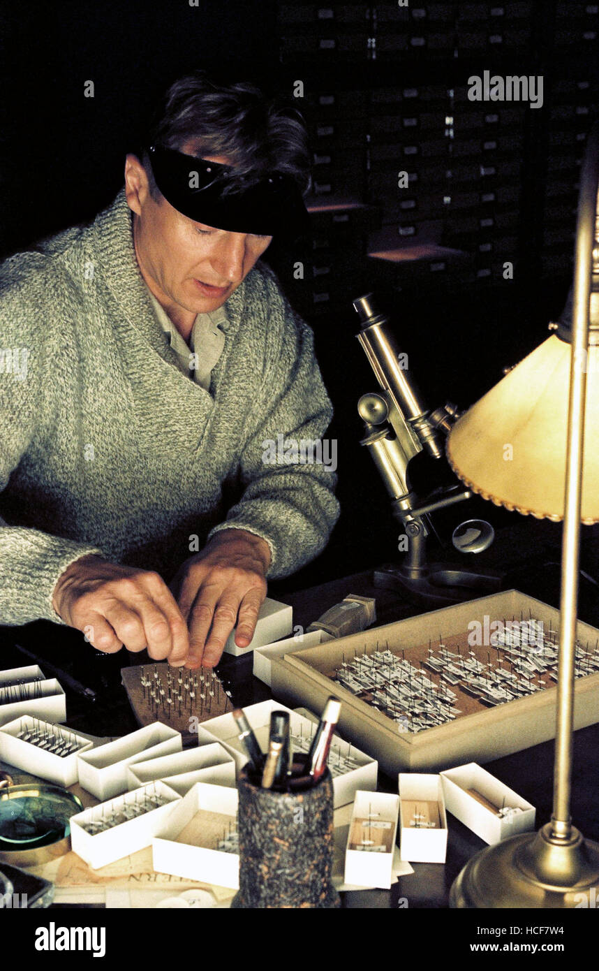 KINSEY, Liam Neeson, 2004, (c) Fox Searchlight/courtesy Everett ...