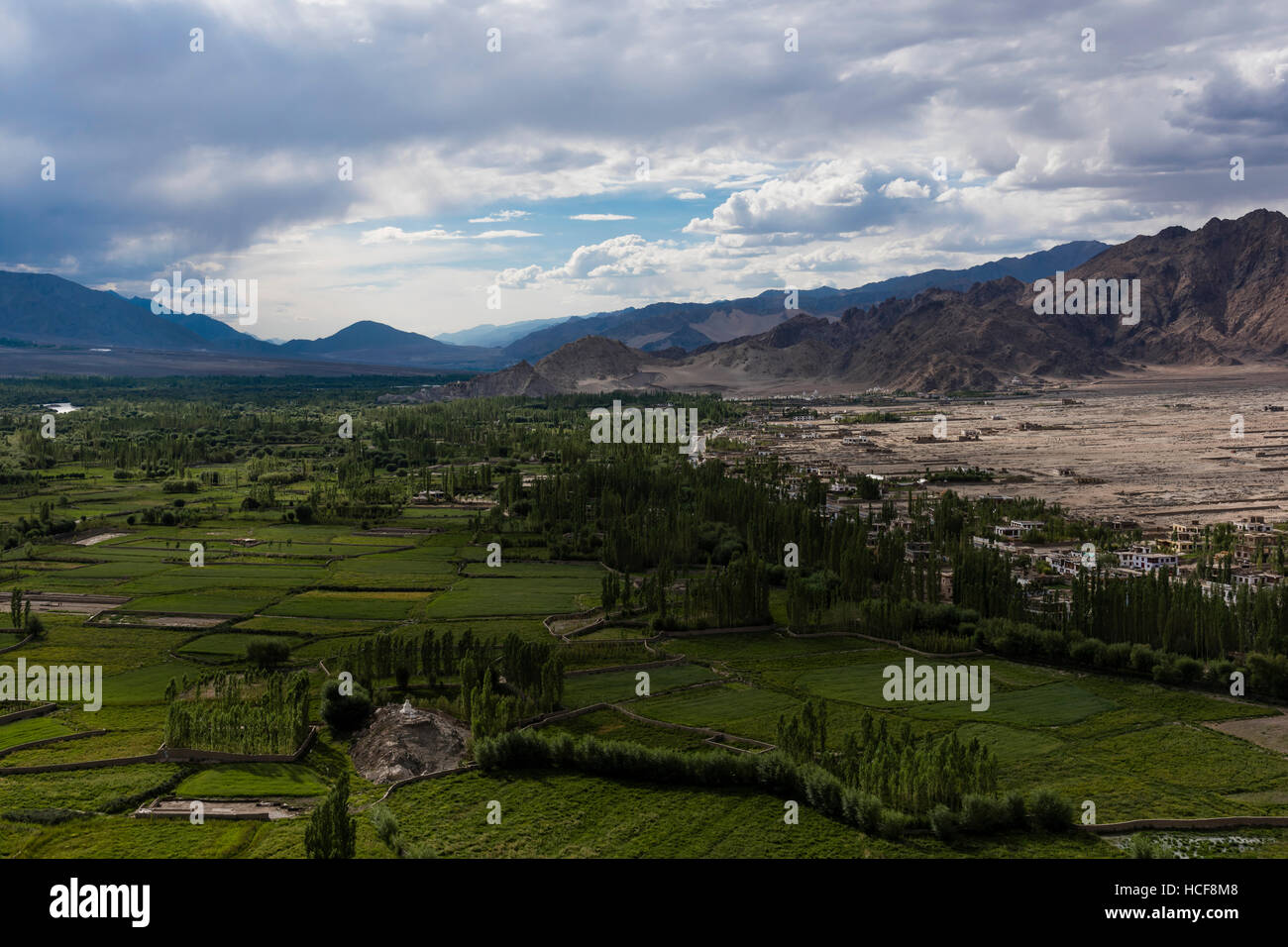 Farming settlement in desert plains of Ladakh Stock Photo - Alamy
