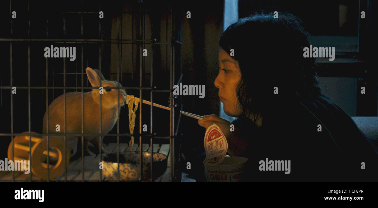 KUMIKO, THE TREASURE HUNTER, Rinko Kikuchi, 2014. ph: Sean Porter ...