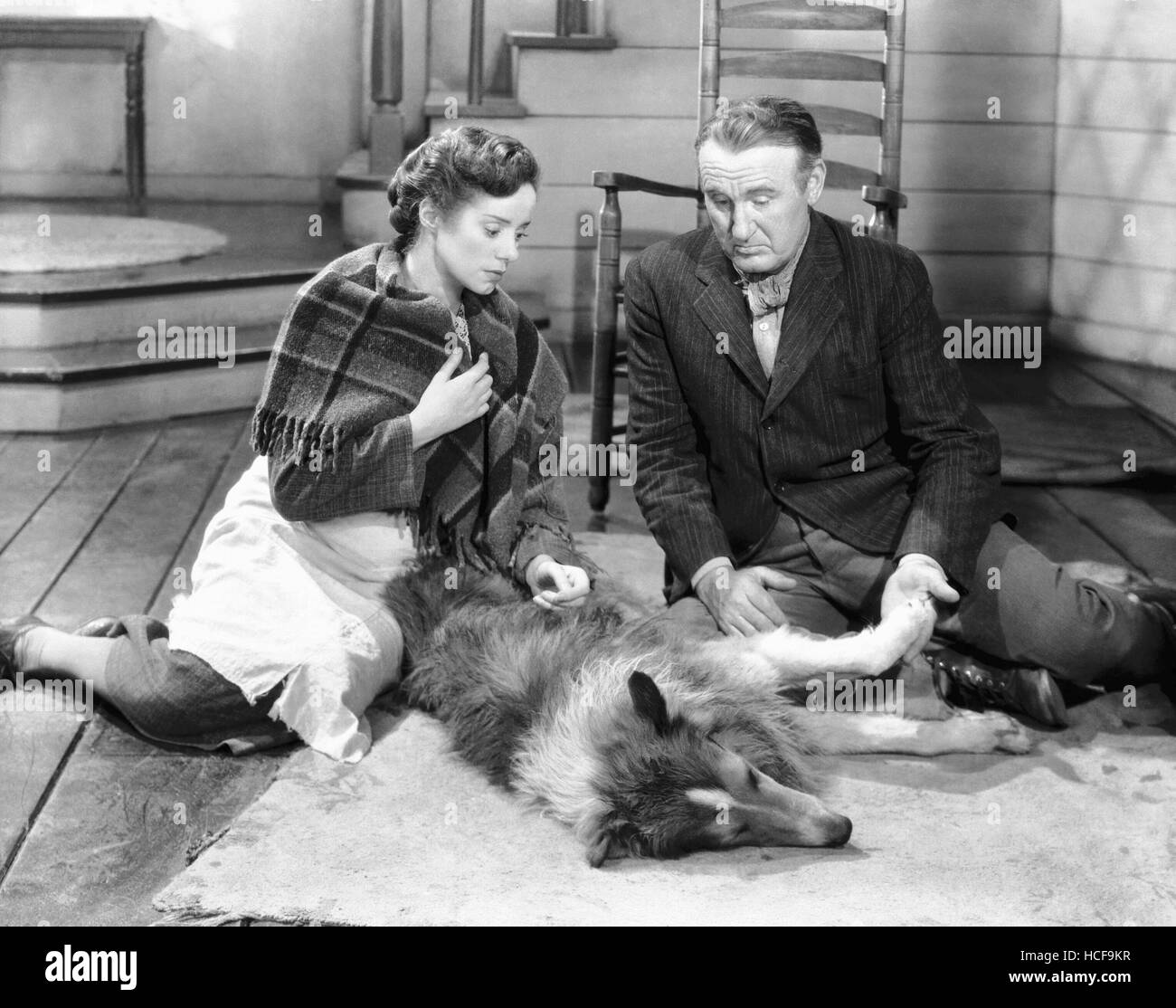 LASSIE COME HOME, Elsa Lanchester, Lassie, Donald Crisp, 1943 Stock ...