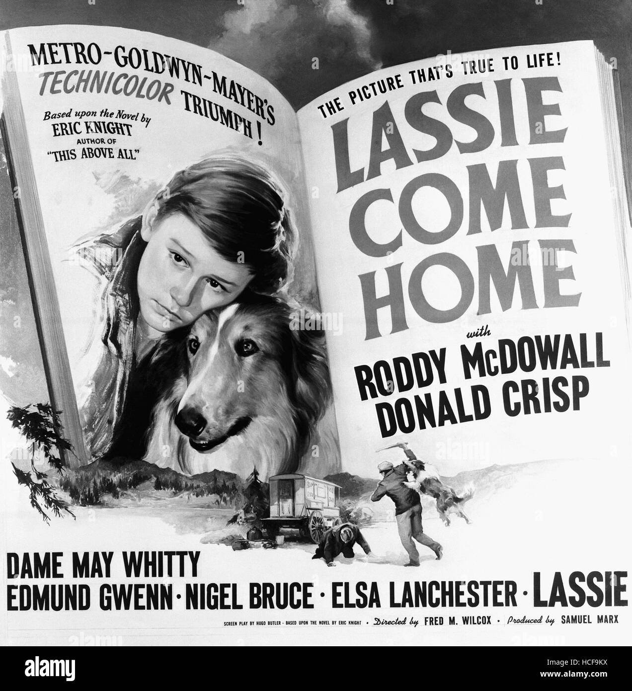 LASSIE COME HOME, Roddy McDowall, Lassie, 1943 Stock Photo - Alamy