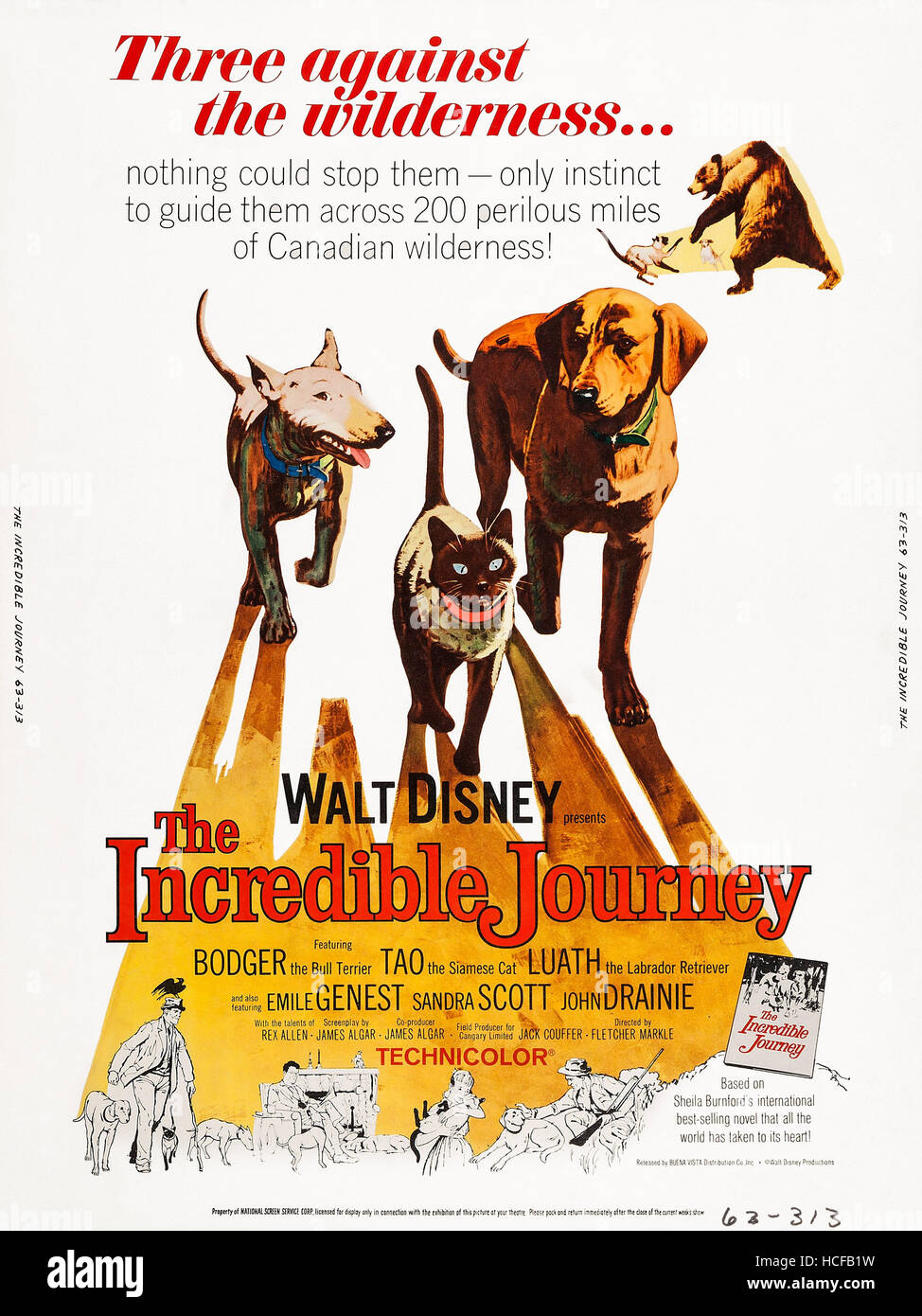 THE INCREDIBLE JOURNEY, US poster, from left: Bodger the Bull Terrier ...