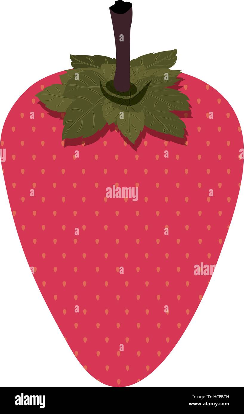 Isolated strawberry fruit design Stock Vector Image & Art - Alamy