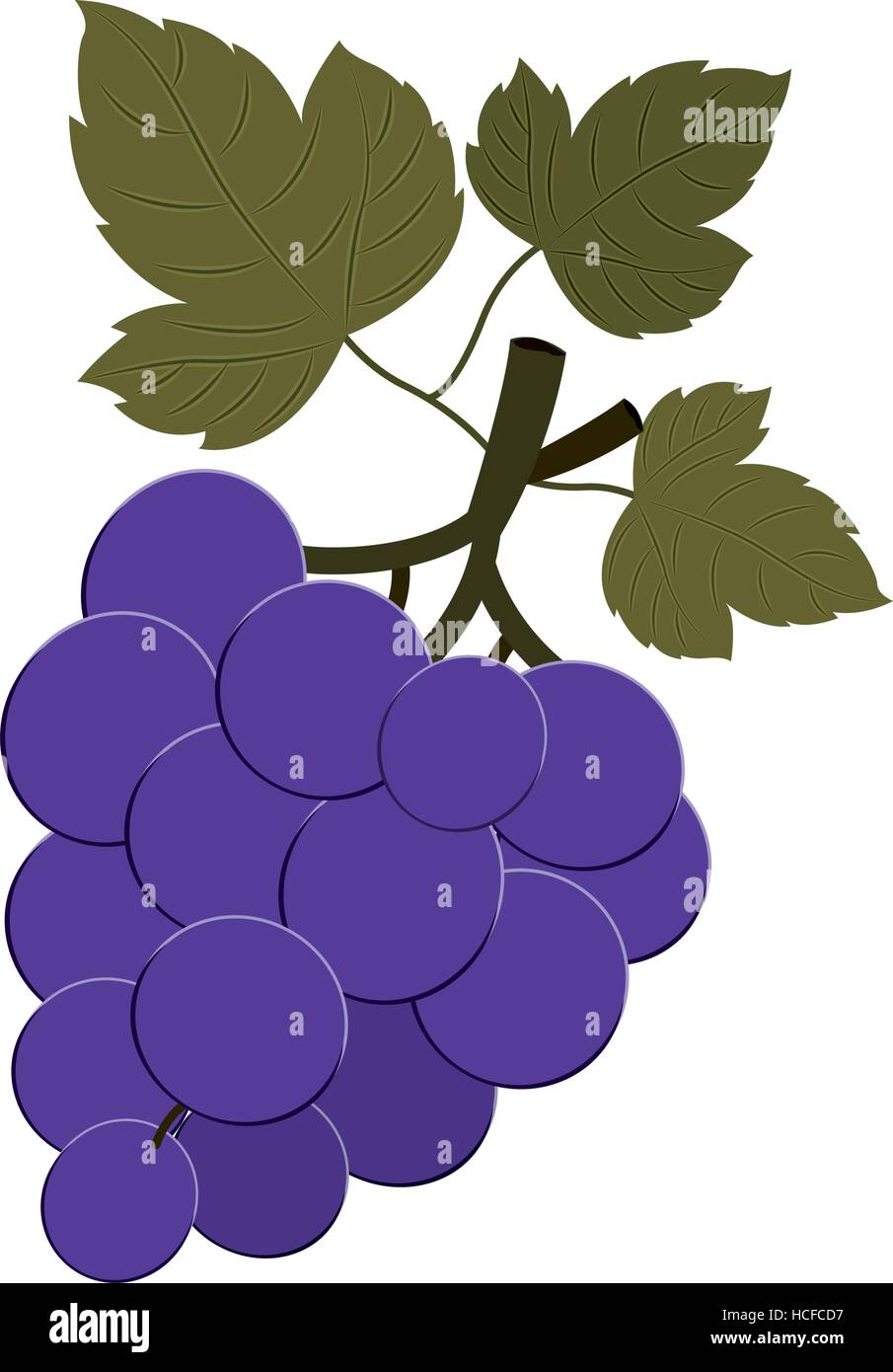Isolated grapes fruit design Stock Vector Image & Art - Alamy