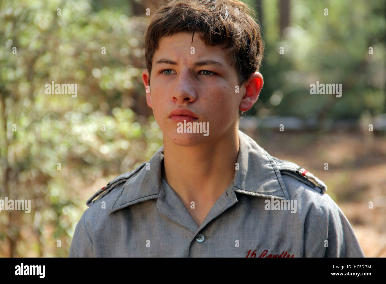 JOE, Tye Sheridan, 2013. ph: Linda Kallerua/©Roadside Attractions ...