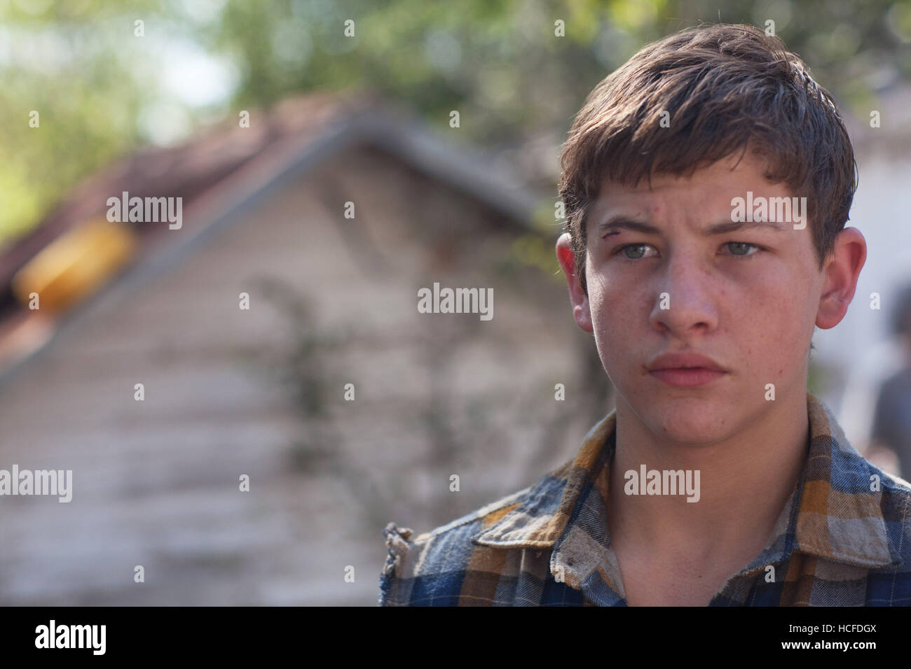 JOE, Tye Sheridan, 2013. ph: Ryan Green/©Roadside Attractions/courtesy ...