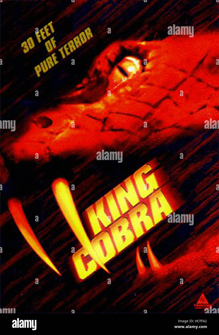KING COBRA, poster art, 1999 Stock Photo - Alamy