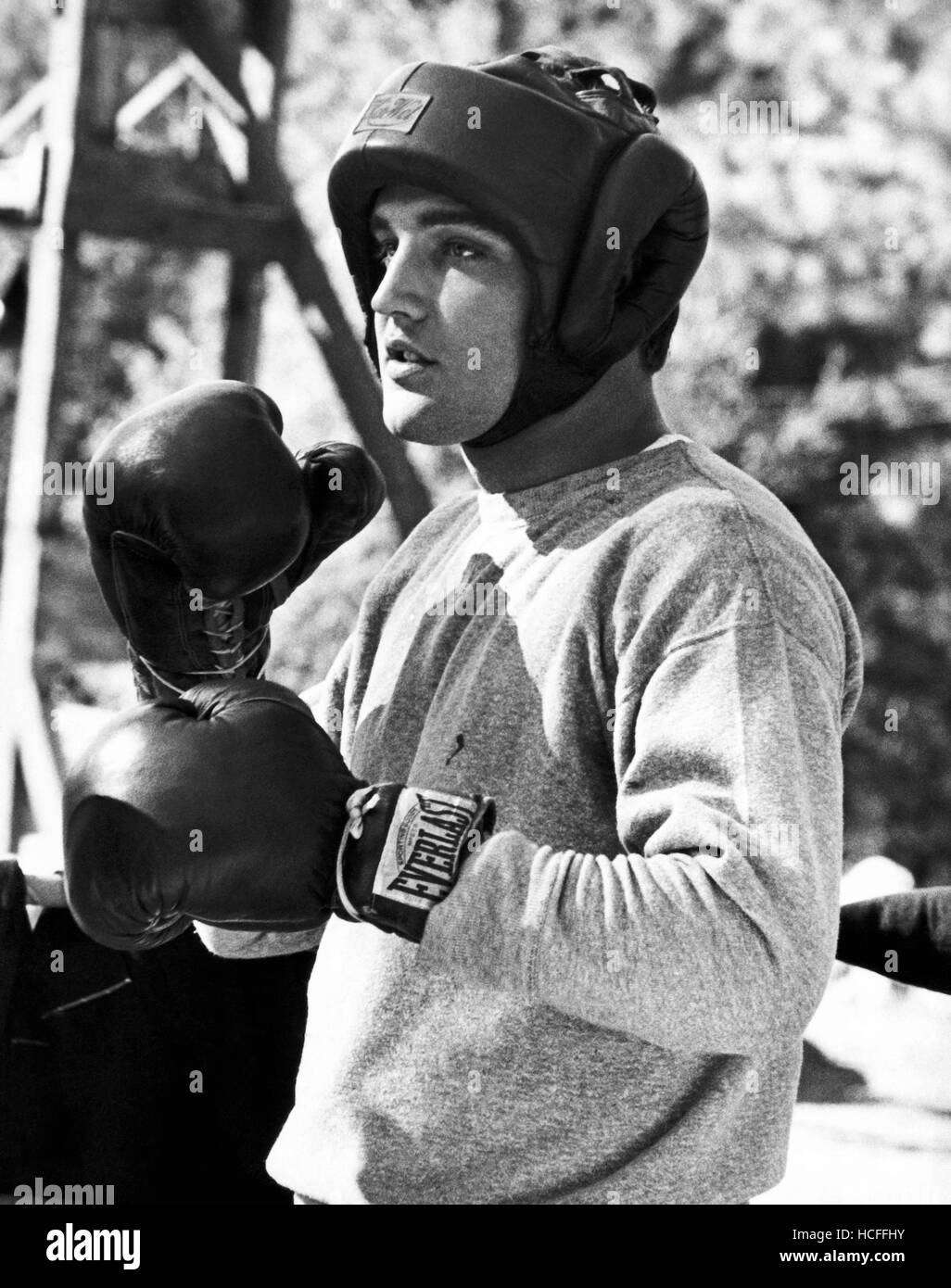 KID GALAHAD, Elvis Presley, 1962 Stock Photo - Alamy