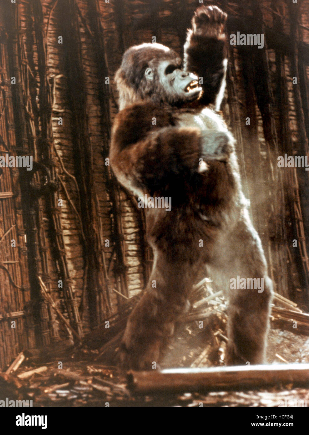 KING KONG, 1976 Stock Photo - Alamy