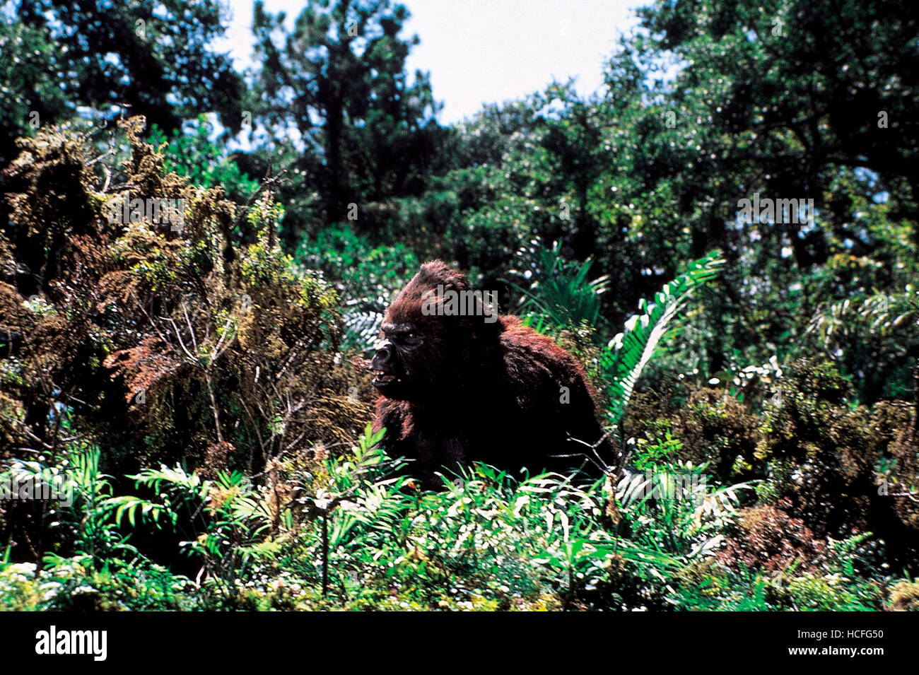 KING KONG LIVES, Lady Kong, 1986. ©DeLaurentiis Entertainment Group ...