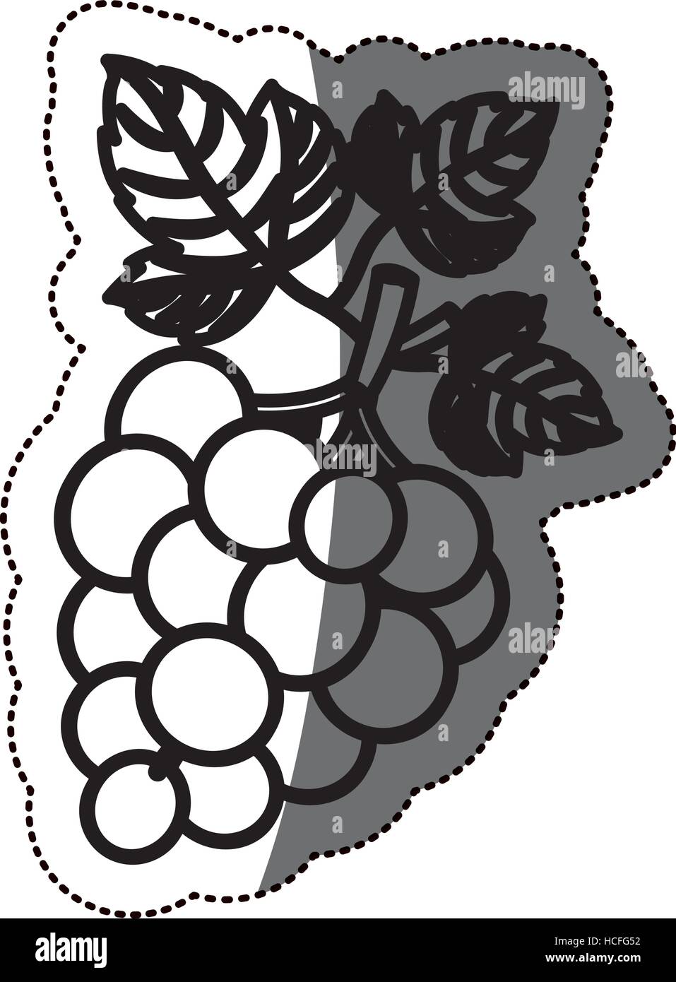 Isolated grapes fruit design Stock Vector Image & Art - Alamy