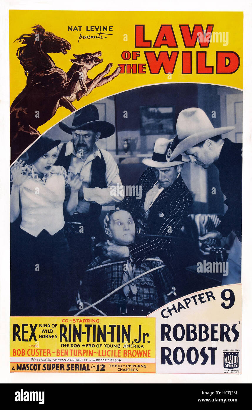 LAW OF THE WILD, top l-r: Rex, Rin-Tin-Tin Jr., bottom left: Lucile ...