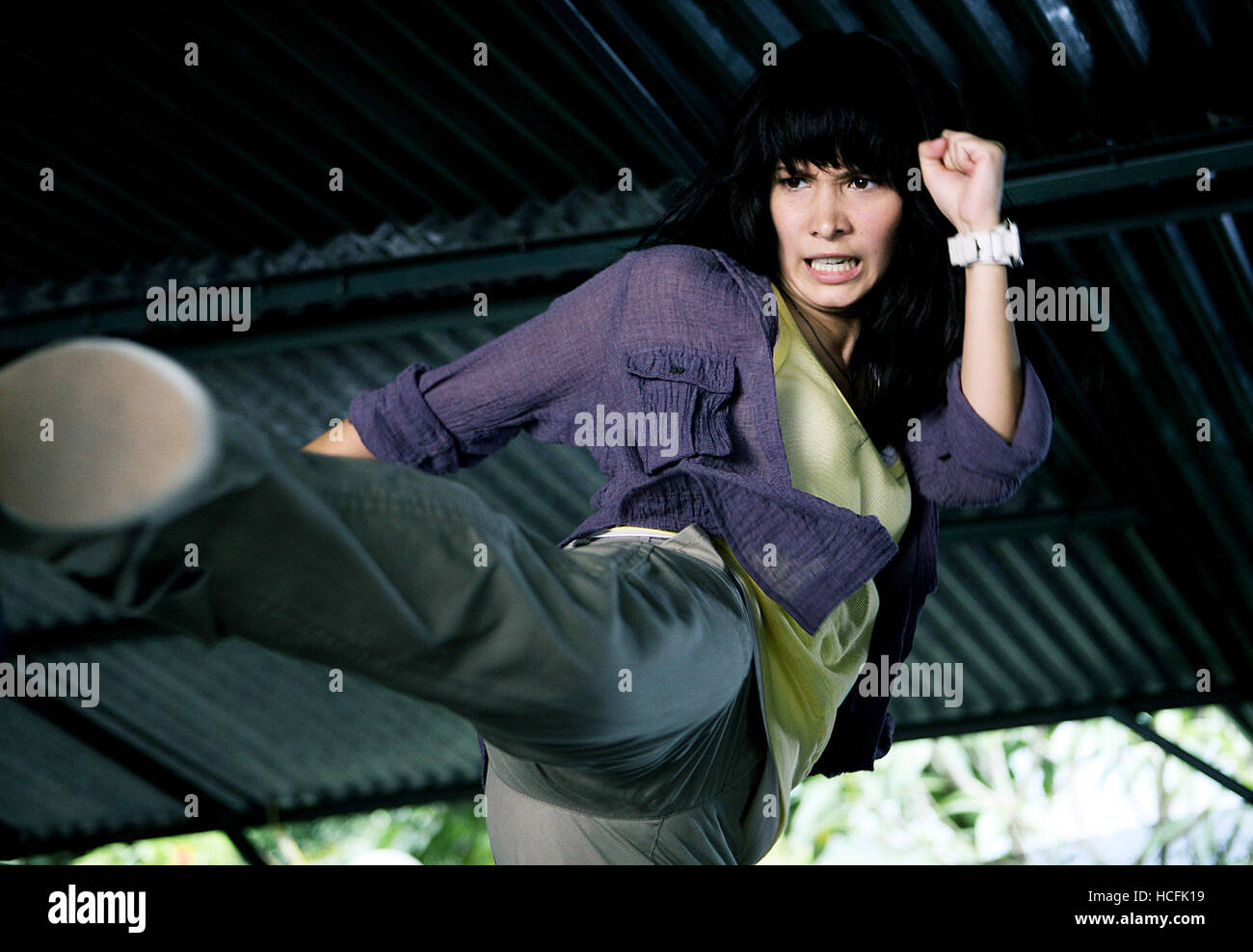 LEGENDARY ASSASSIN, (aka LONG NGA), 2008, ©Gold Label Entertainment ...