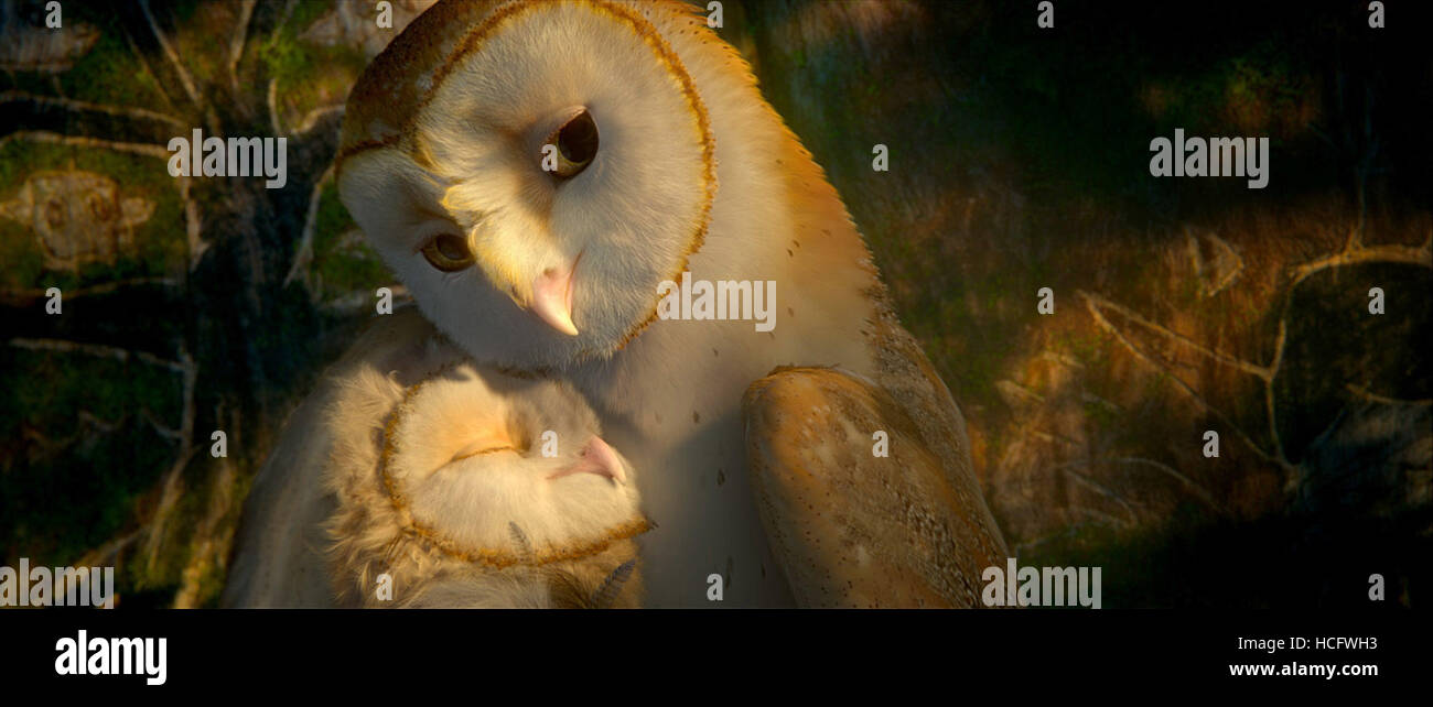 LEGEND OF THE GUARDIANS: THE OWLS OF GA'HOOLE, Soren (right), 2010 ...