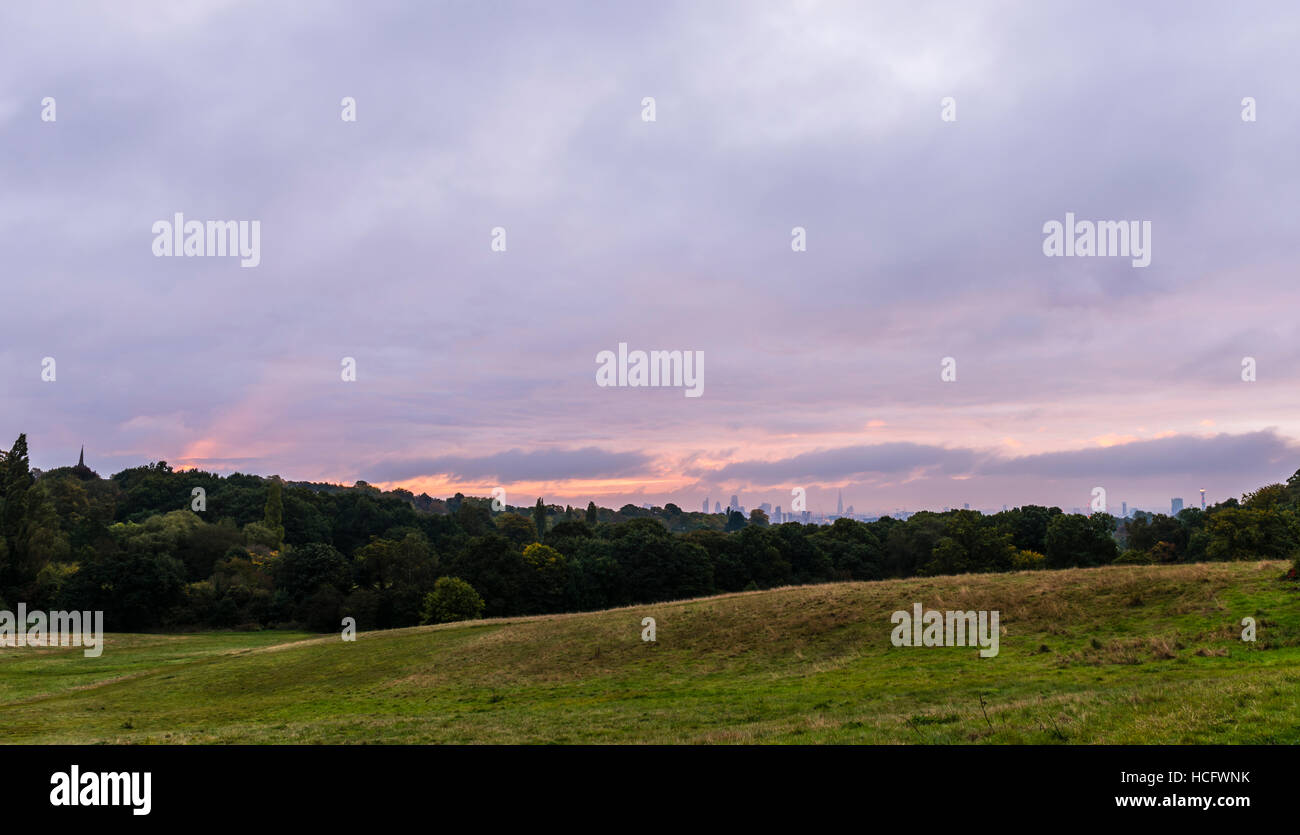 Stunning dawn over the London skyline from Hampstead Heath, London, UK ...