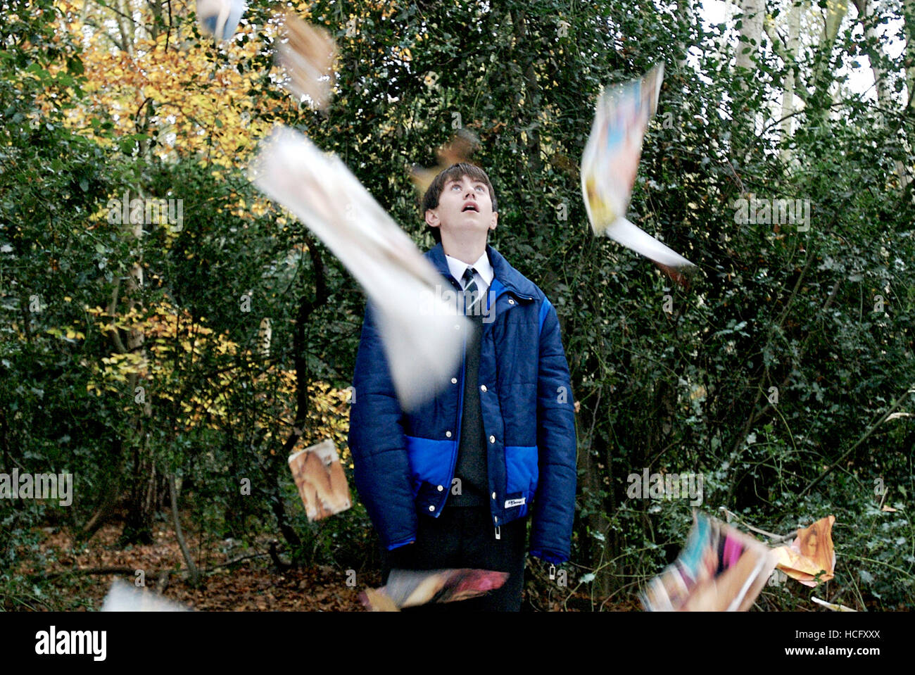 LOVE DOES GROW ON TREES, Luke Ward-Wilkinson, 2008 Stock Photo - Alamy