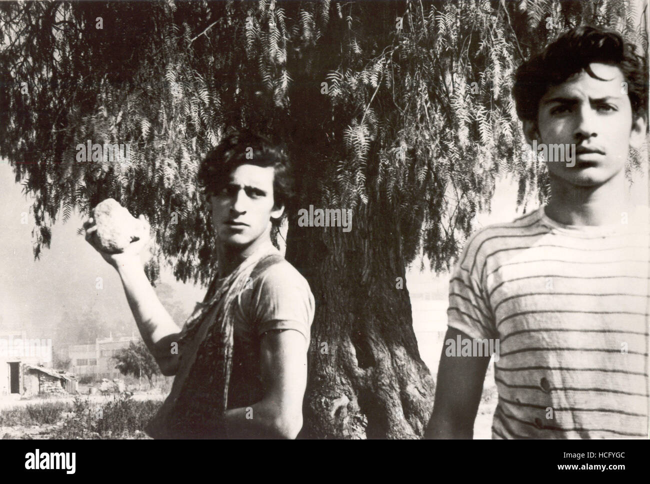 LOS OLVIDADOS, from left: Roberto Cobo, Alfonso Mejia, 1950 Stock Photo ...