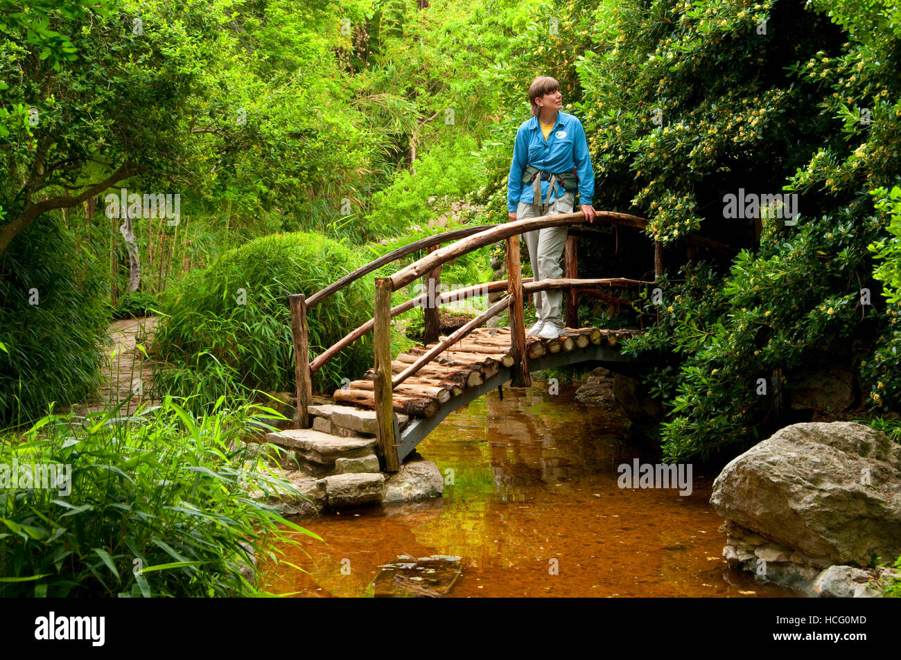 Austin japanese garden hi-res stock photography and images - Alamy