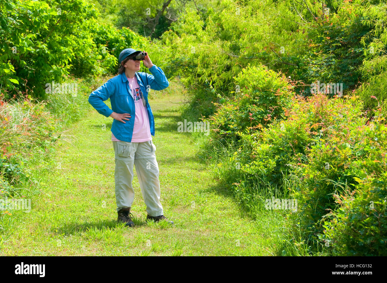 Birding along Rail Trail, Aransas National Wildlife Refuge, Texas Stock ...