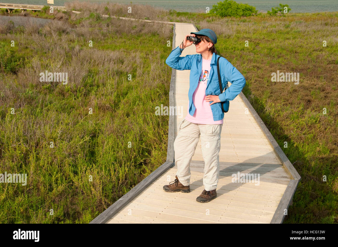 Boardwalk birding, Aransas National Wildlife Refuge, Texas Stock Photo ...