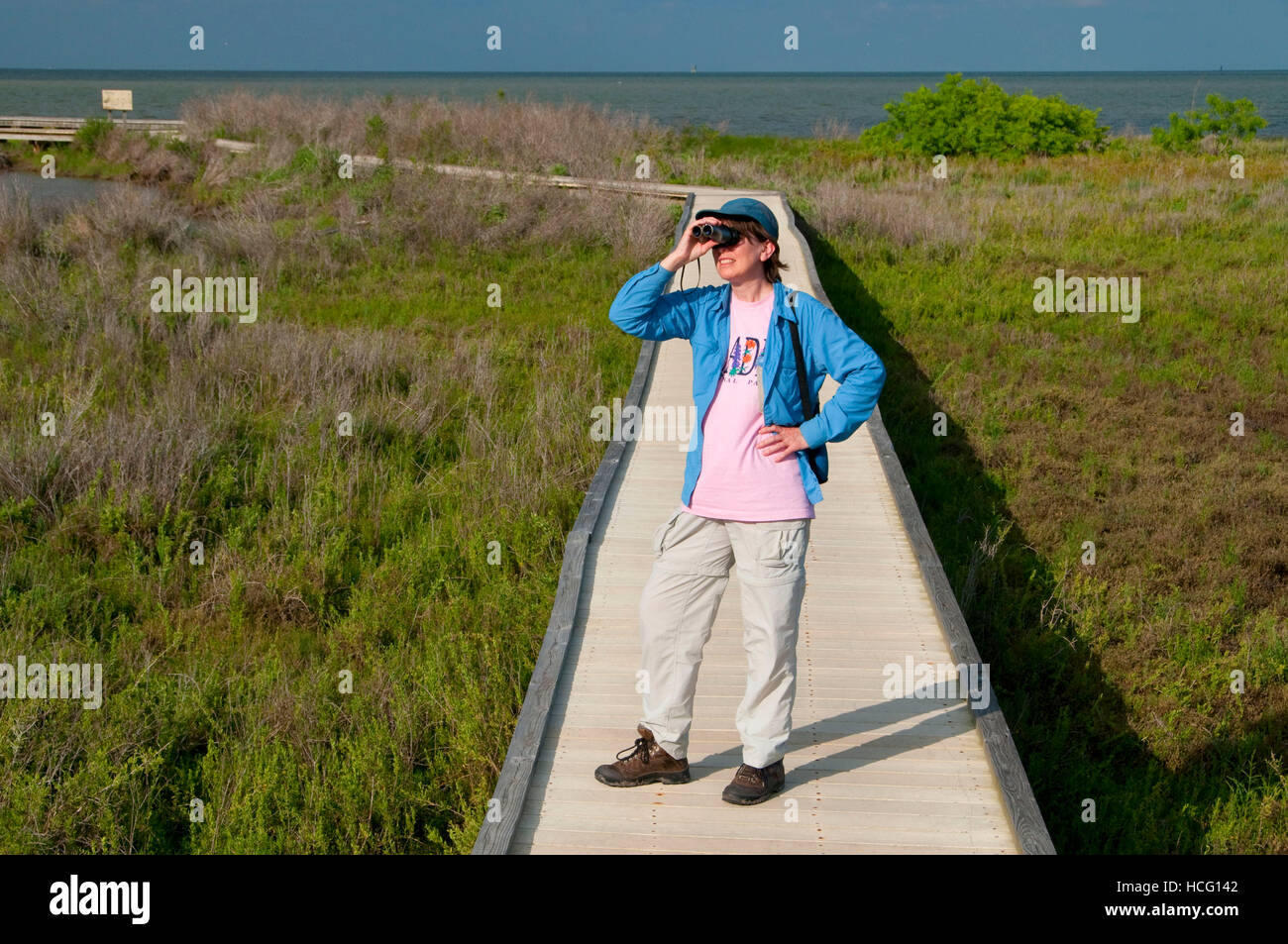 Boardwalk birding aransas national wildlife hi-res stock photography ...