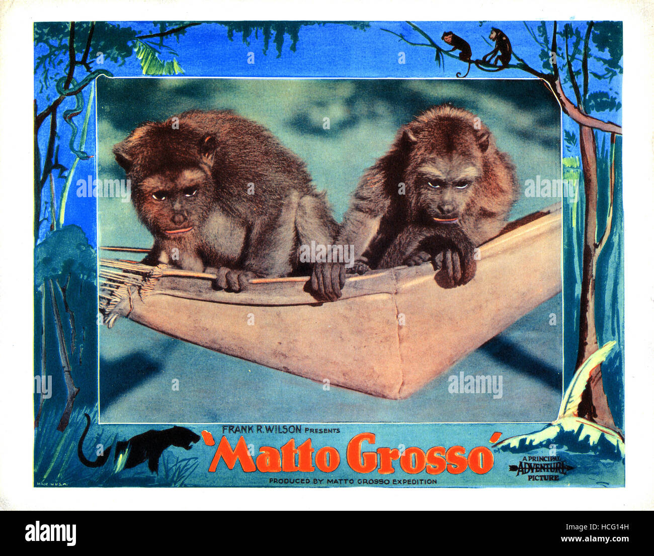 MATTO GROSSO, 1933 Stock Photo - Alamy