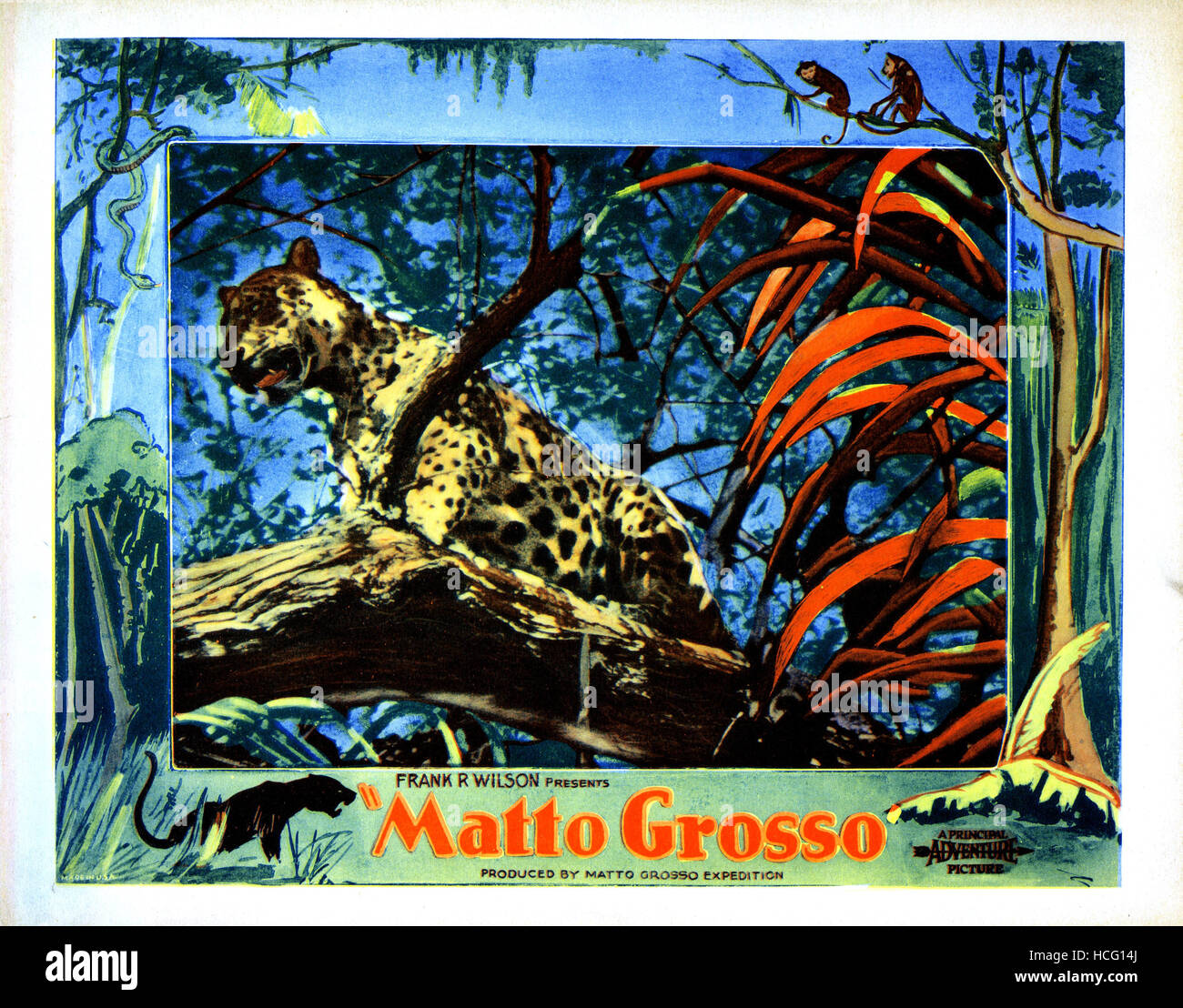 MATTO GROSSO, 1933 Stock Photo - Alamy
