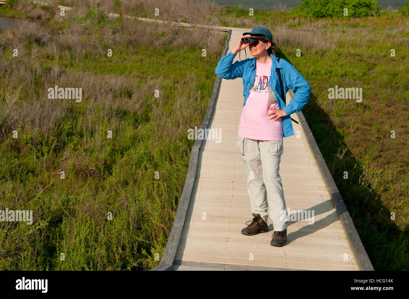 Boardwalk birding, Aransas National Wildlife Refuge, Texas Stock Photo ...