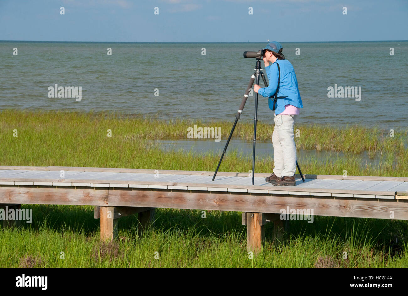 Boardwalk birding, Aransas National Wildlife Refuge, Texas Stock Photo ...
