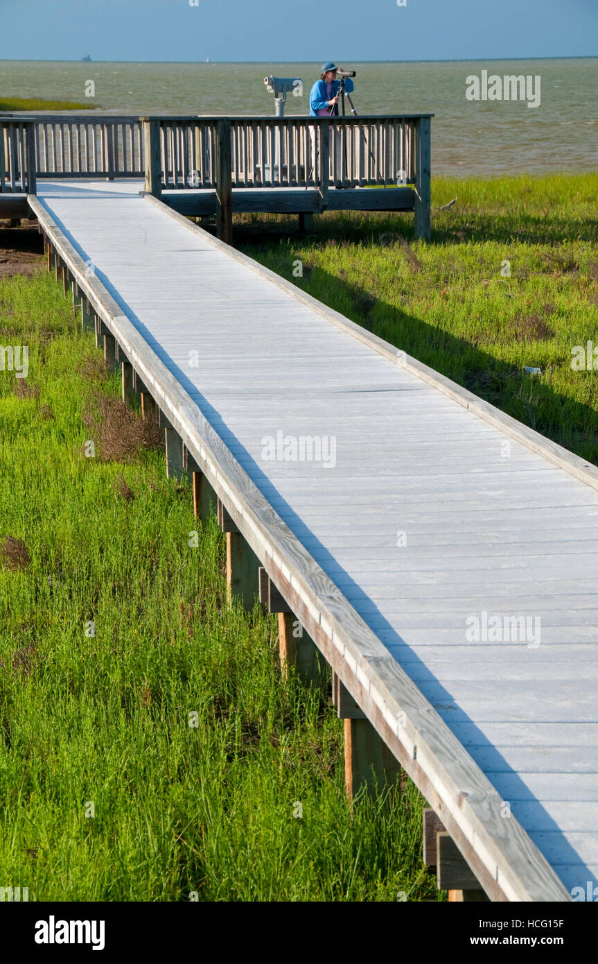 Boardwalk birding, Aransas National Wildlife Refuge, Texas Stock Photo ...