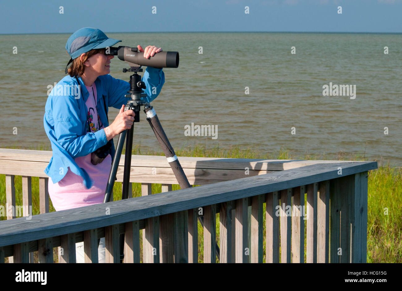 Boardwalk birding, Aransas National Wildlife Refuge, Texas Stock Photo ...