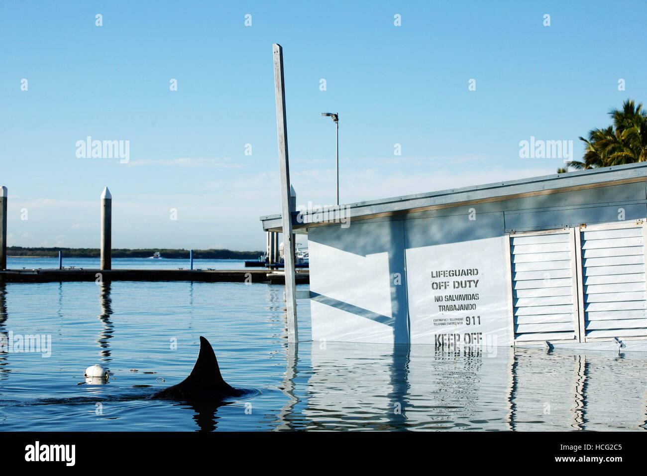 MALIBU SHARK ATTACK, 2009 Stock Photo - Alamy