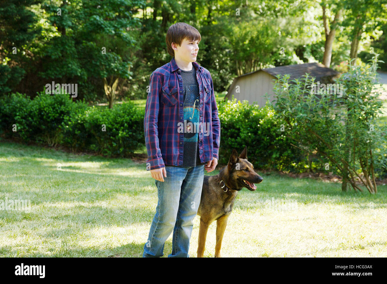 MAX, Josh Wiggins, 2015. ph: Kent Smith/©Warner Bros. Pictures/courtesy ...