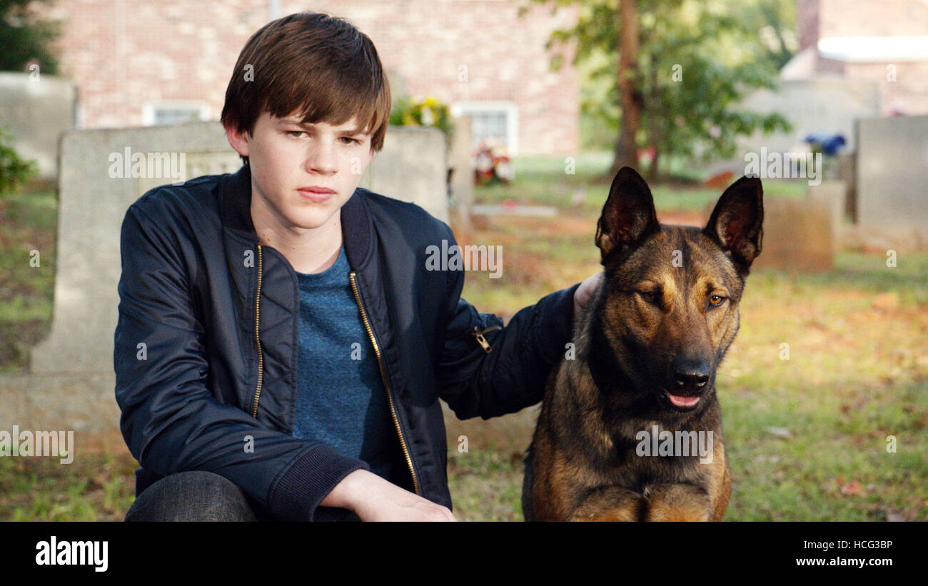 MAX, Josh Wiggins, 2015. ©Warner Bros. Pictures/courtesy Everett ...