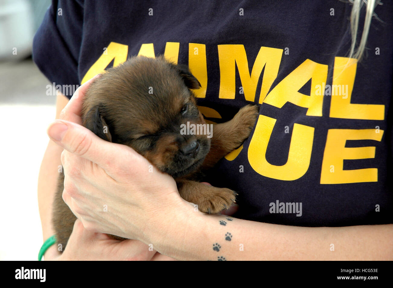 MINE, 2009. ©Film Movement/Courtesy Everett Collection Stock Photo - Alamy