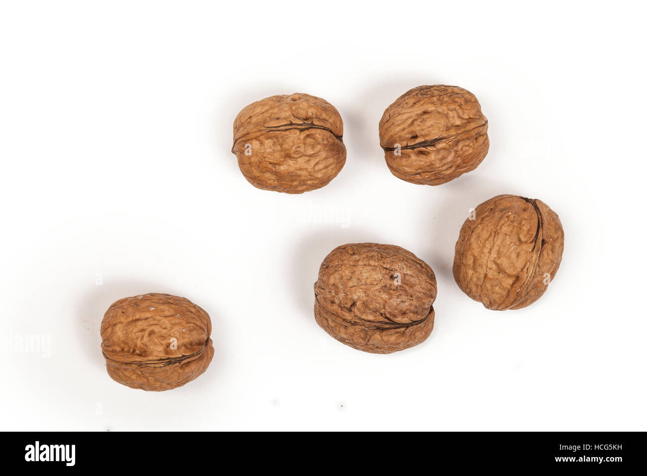 Walnuts isolated hi-res stock photography and images - Alamy