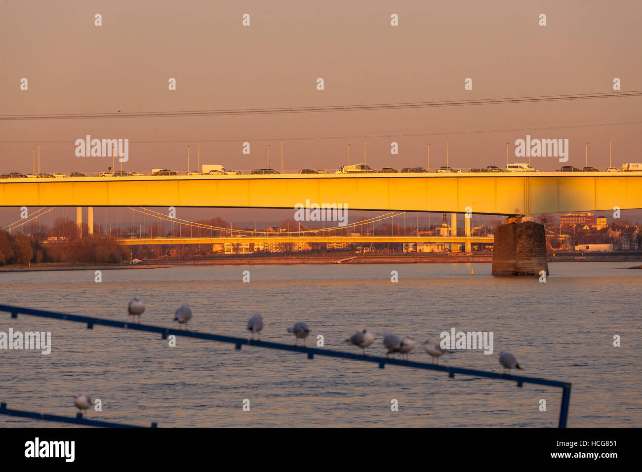 Germany, Cologne, the Zoo bridge and the Muelheimer bridge across the ...