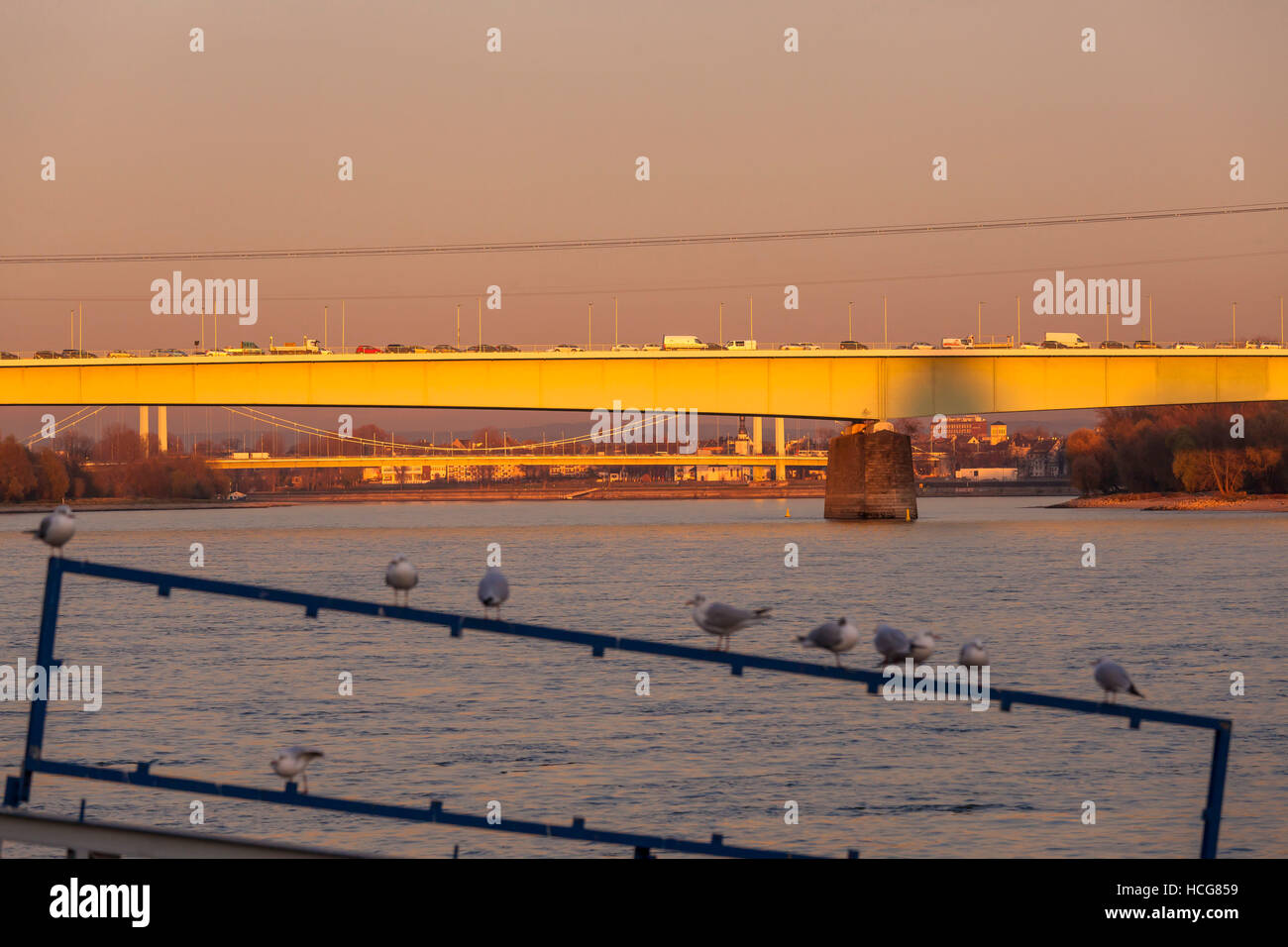 Germany, Cologne, the Zoo bridge and the Muelheimer bridge across the ...