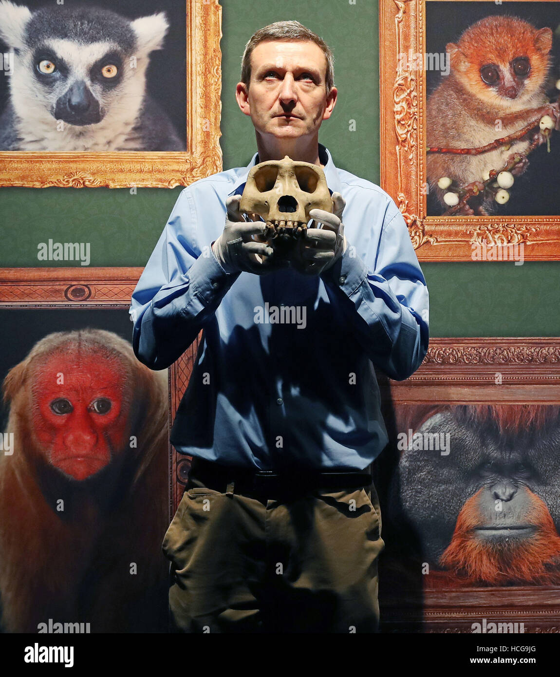 Principal curator of vertebrates hi-res stock photography and images ...