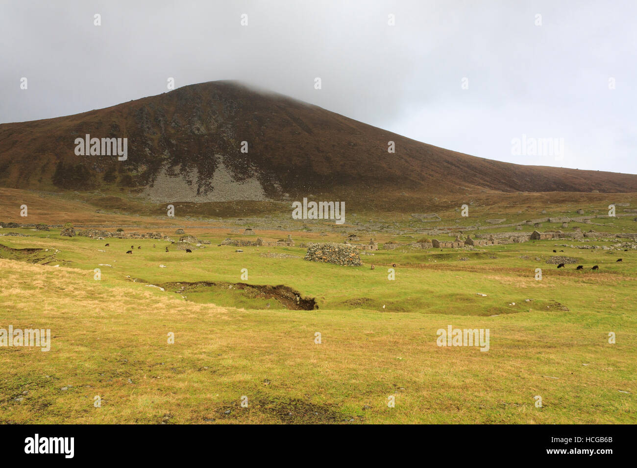 View of Village Bay, St Kilda, with grazing sheep and ruins of an ...