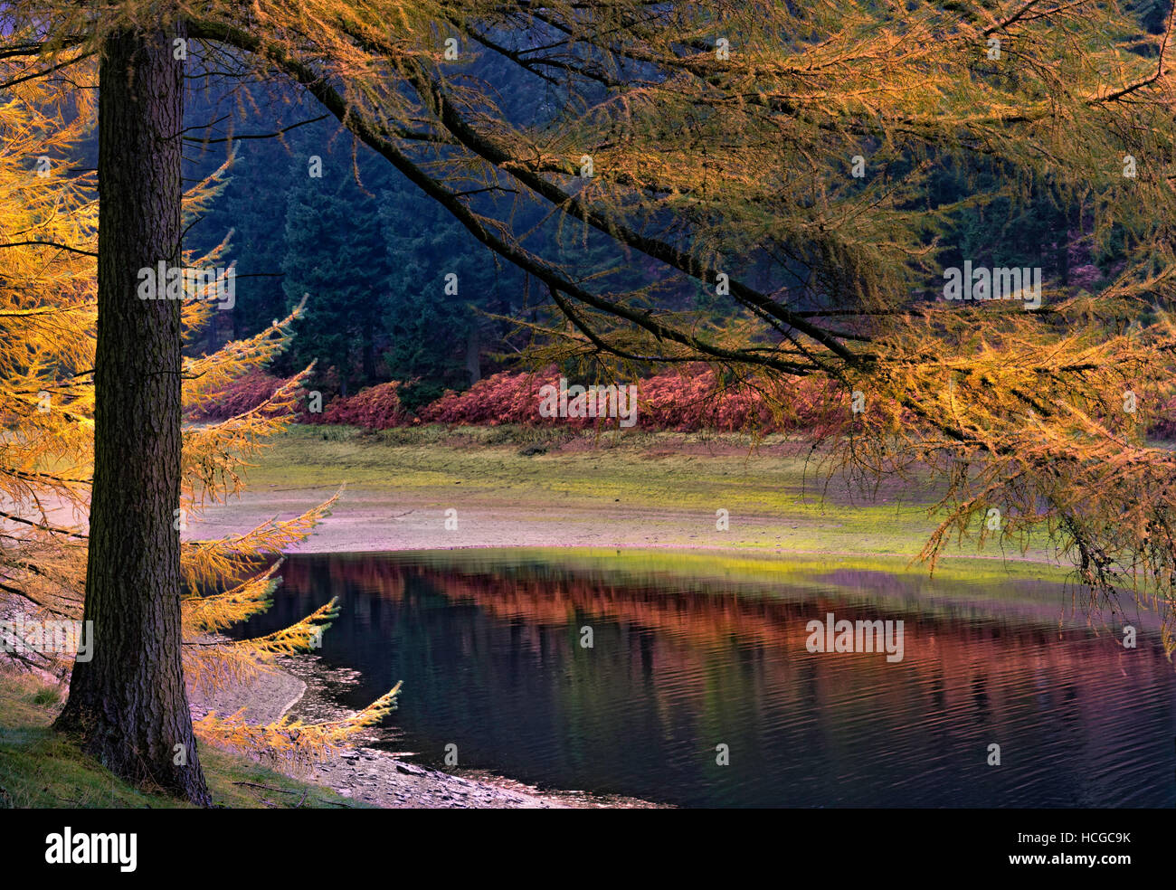 Derwent Reservoir, Upper Derwent Valley, Derbyshire Peak District Stock ...