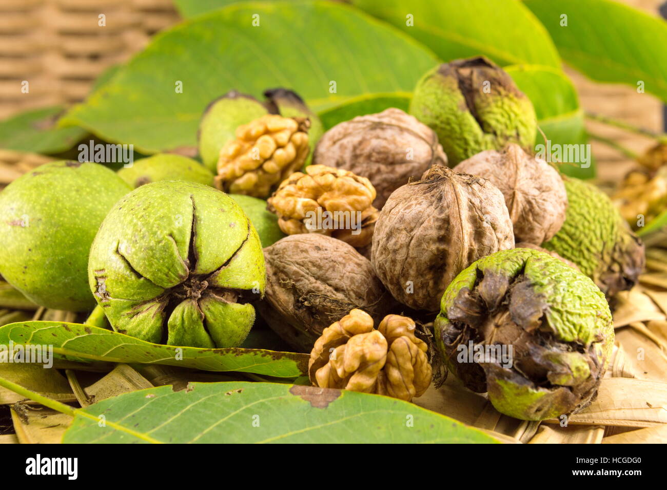 Bunch of fresh walnuts on a wicker basket Stock Photo - Alamy