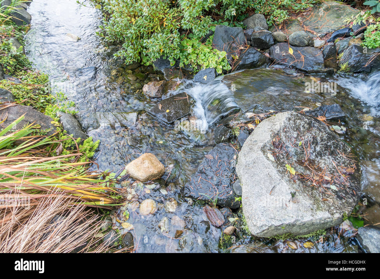 Shot stream hi-res stock photography and images - Alamy