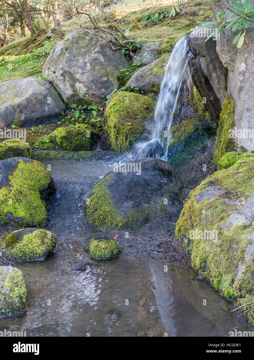 Water rushes over rocks creating a small waterfall. Location is Seattle ...