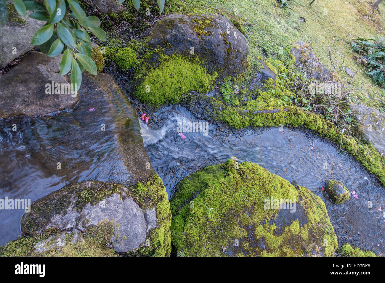 Rushes water hi-res stock photography and images - Alamy