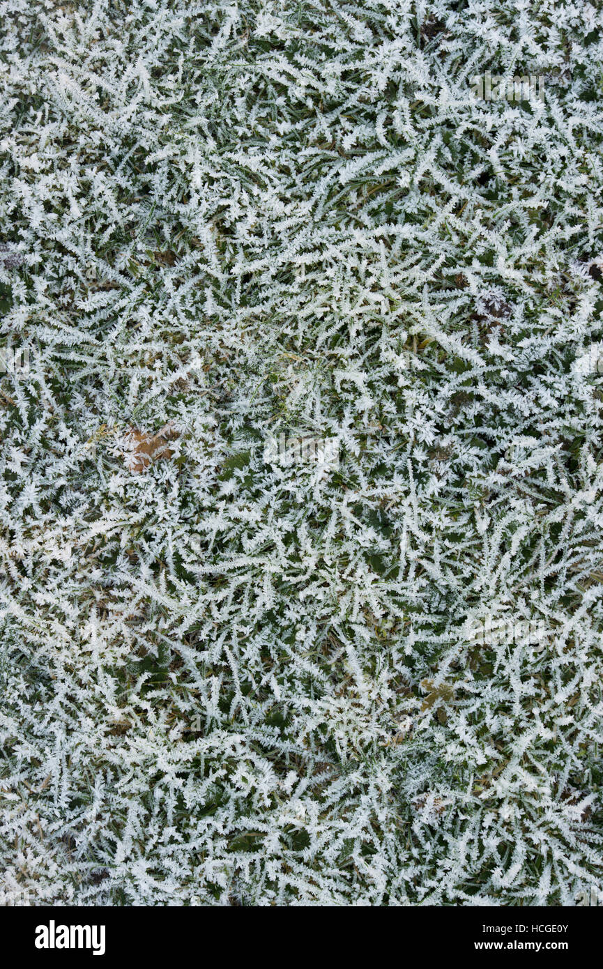 Lawn patterns hi-res stock photography and images - Alamy