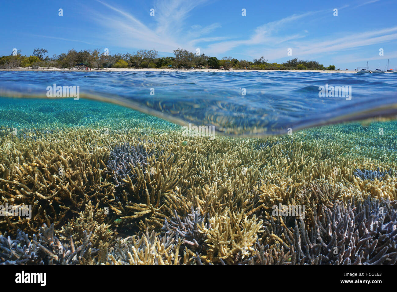 Above and below water, healthy coral reef underwater and island split ...